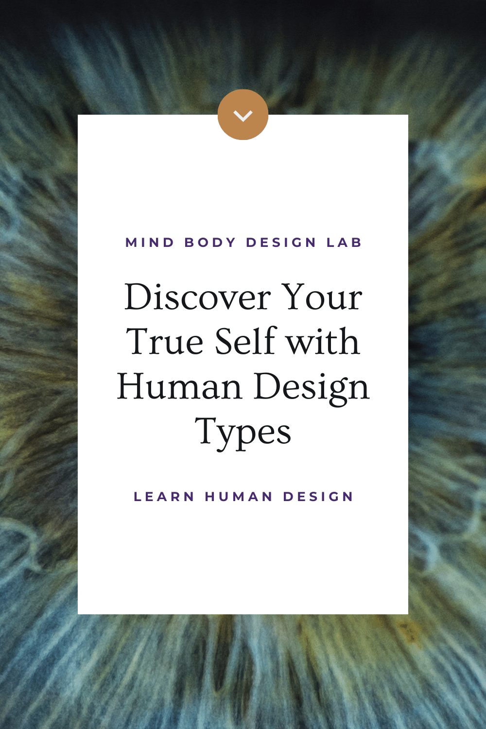 The Power of Self-Discovery through Human Design Types